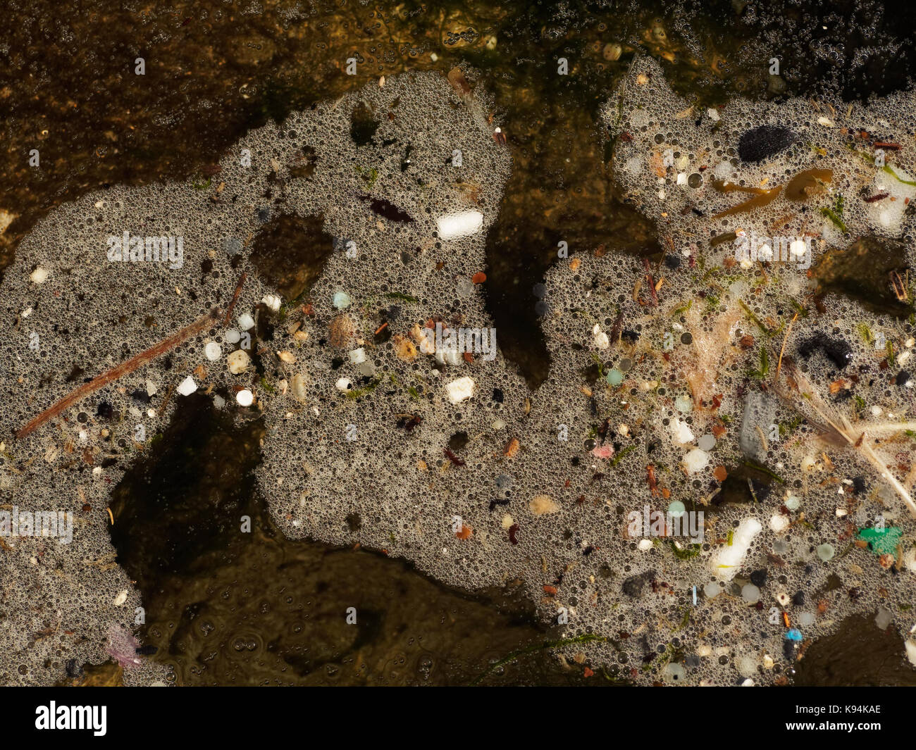 Beaches and rock pools polluted with plastic micro waste washed in on ...