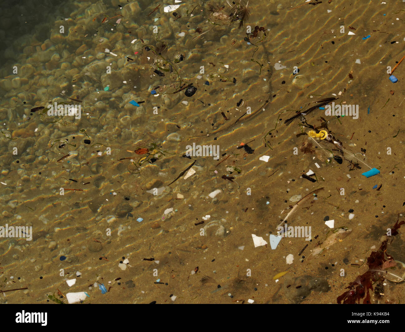 Beaches and rock pools polluted with plastic micro waste washed in on ...