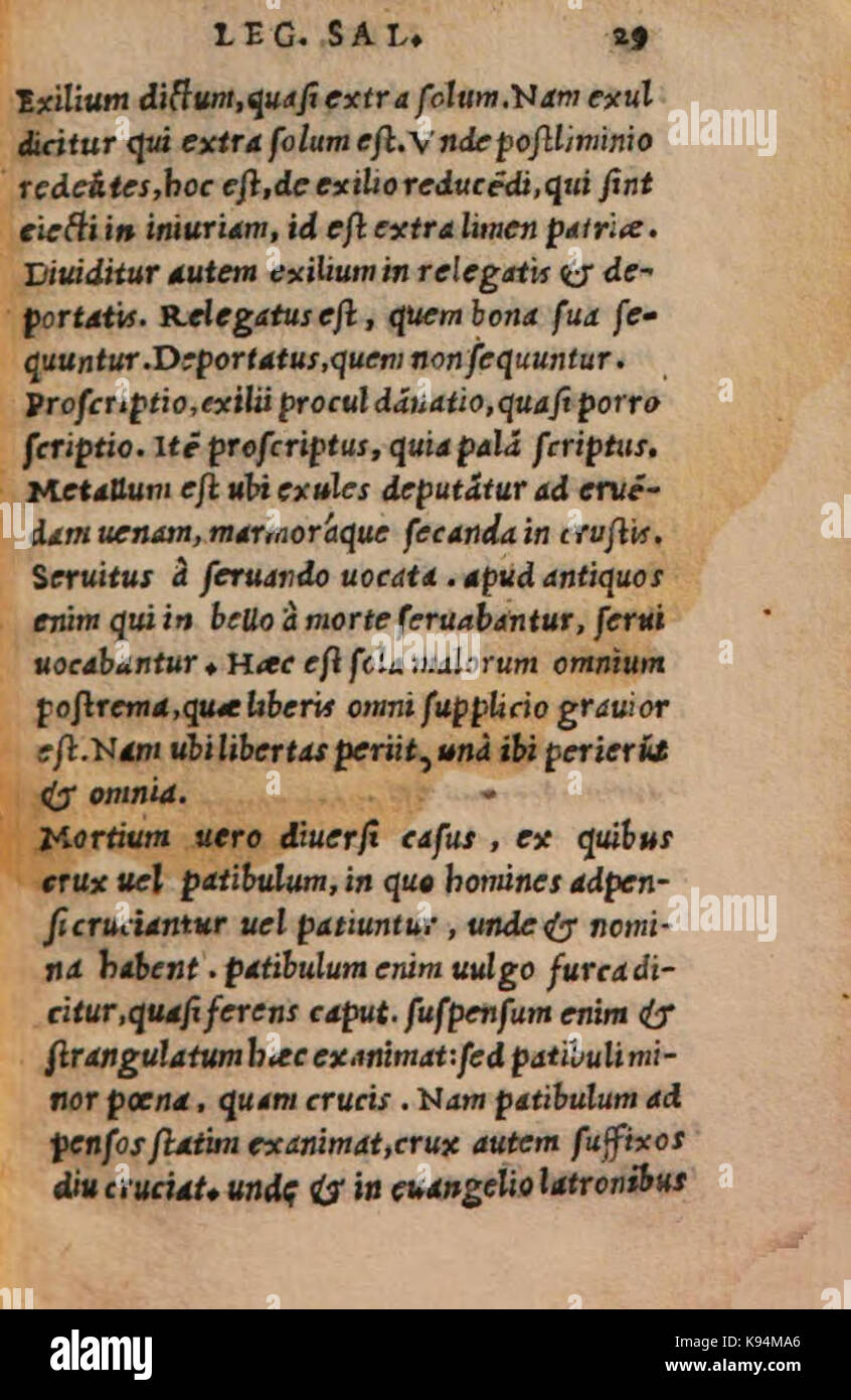 Libelli hi-res stock photography and images - Alamy