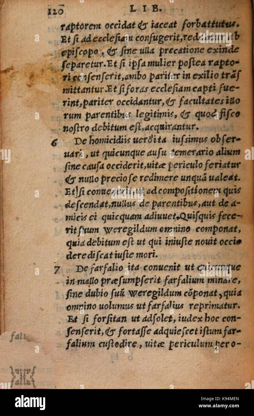 Libelli hi-res stock photography and images - Alamy