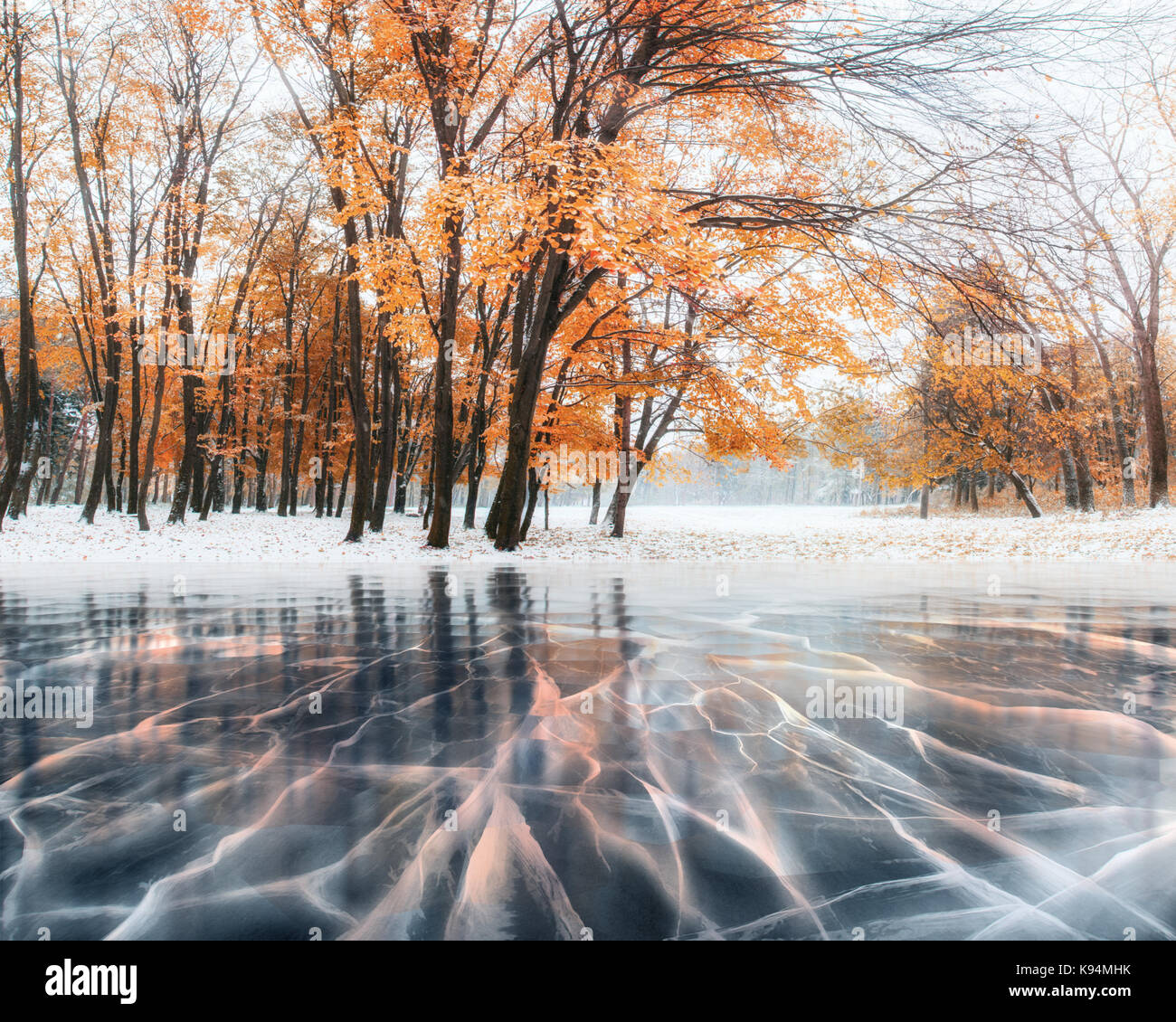 October mountain beech forest with first winter snow and blue ice and ...