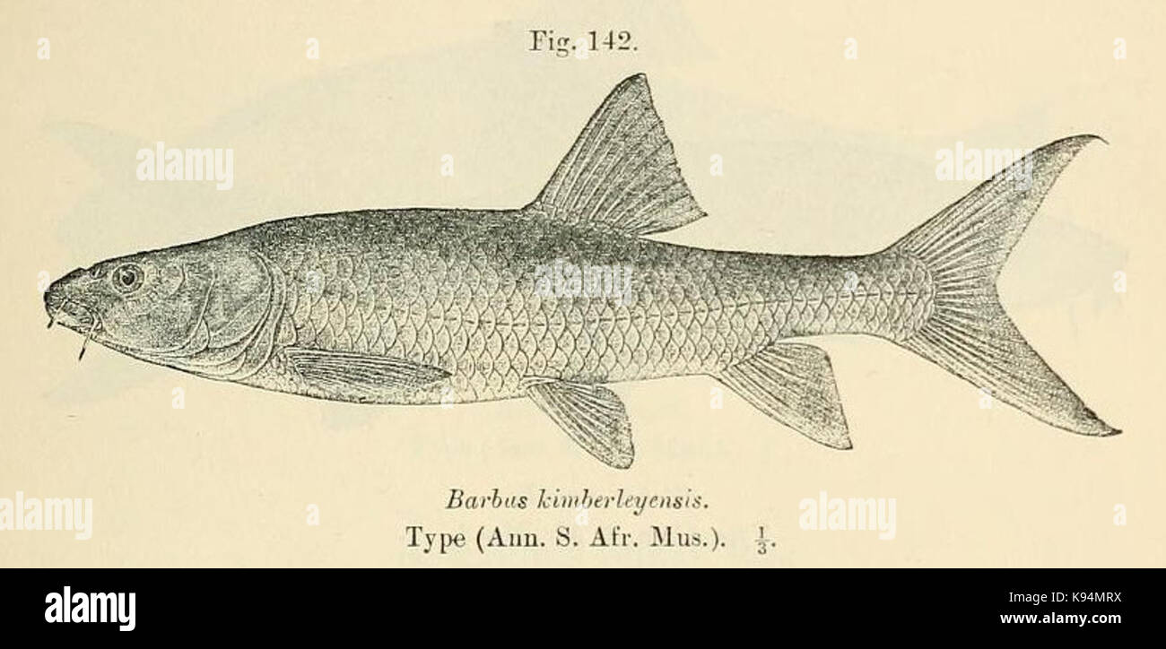 Fisheries science australia hi-res stock photography and images - Alamy