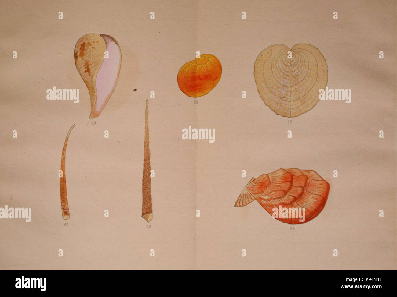 Kaisenshu hi-res stock photography and images - Alamy