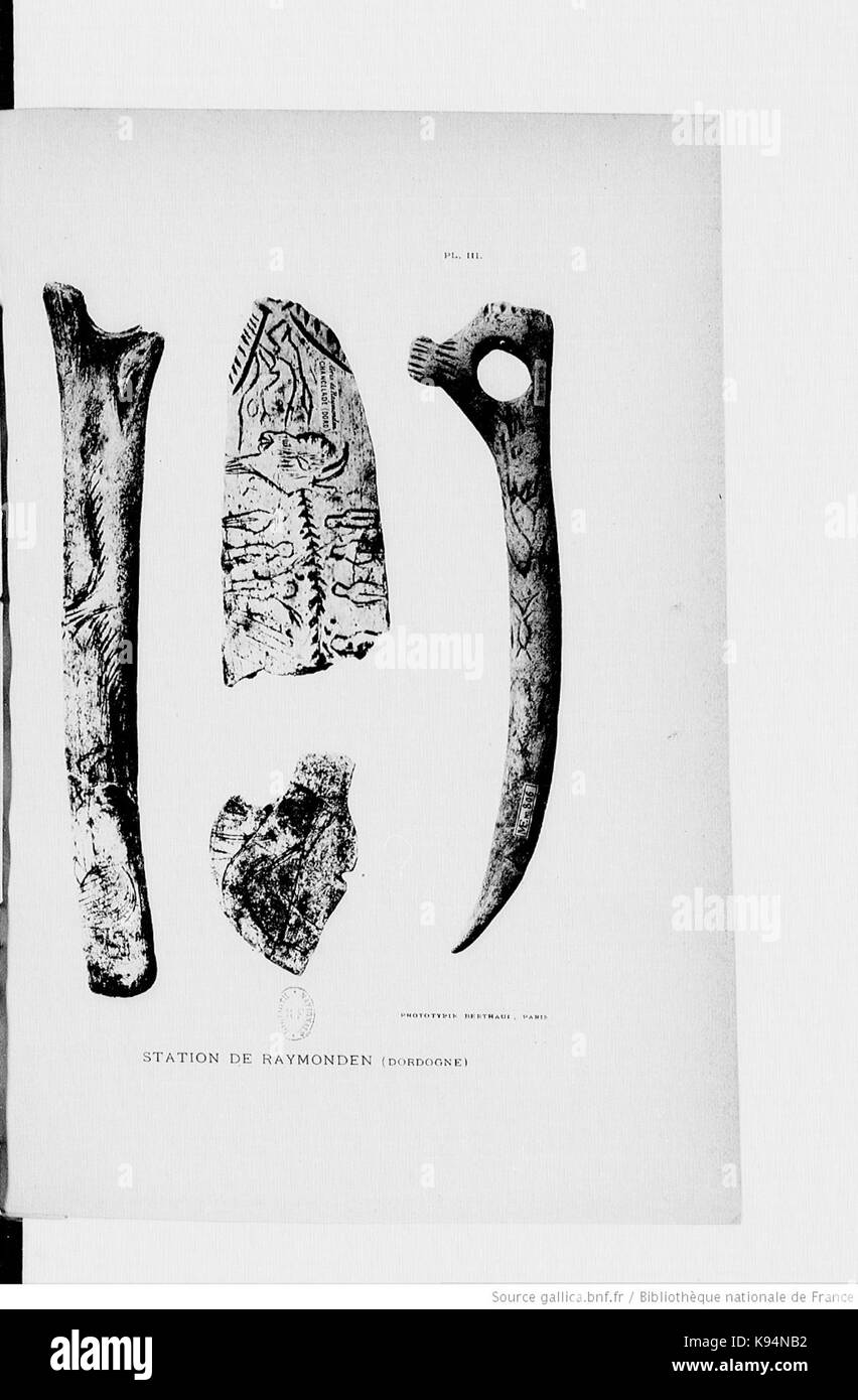 Quaternary period human hi-res stock photography and images - Alamy