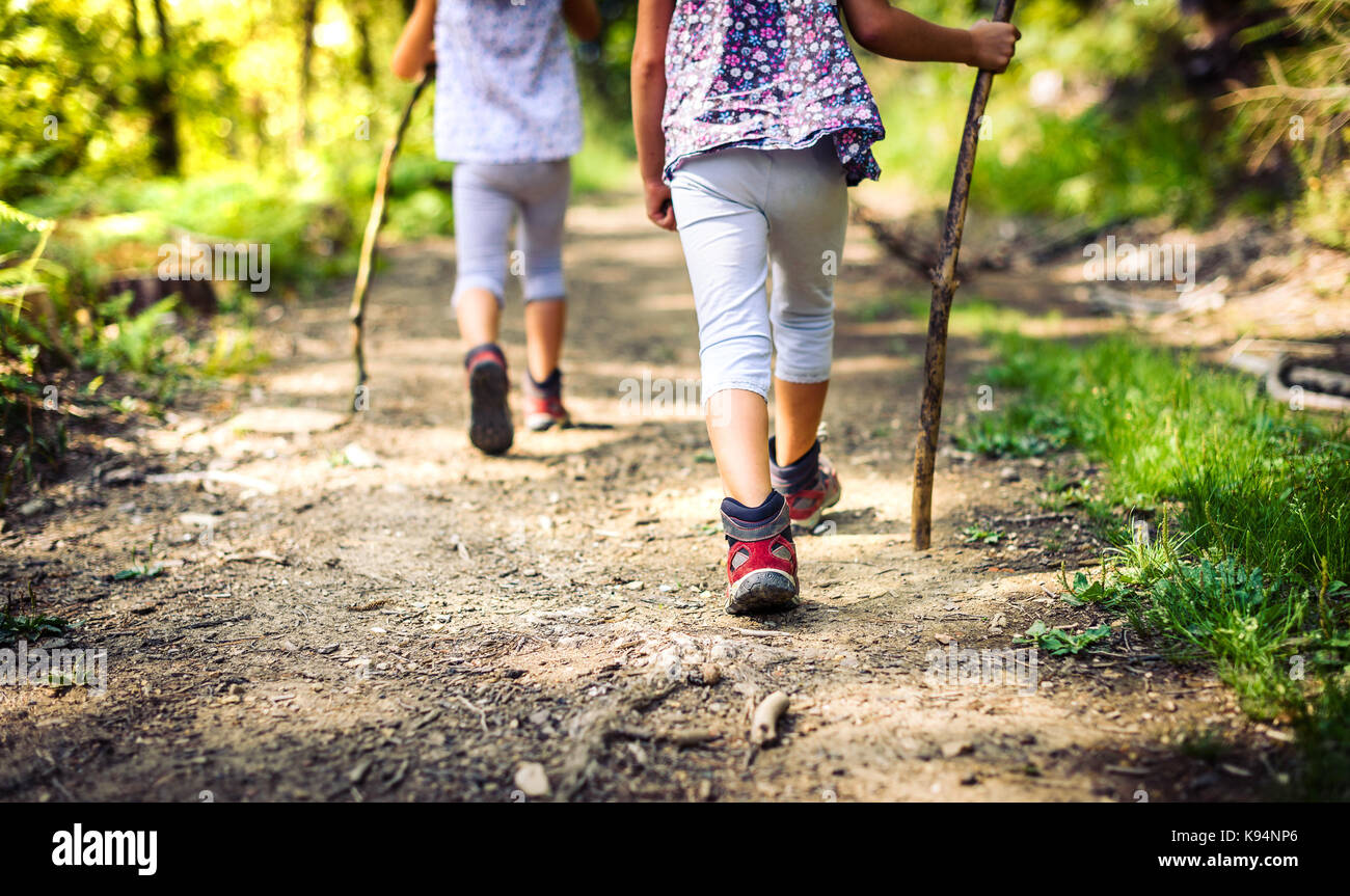 Children hiking in mountains or forest with sport hiking shoes. Girls ...