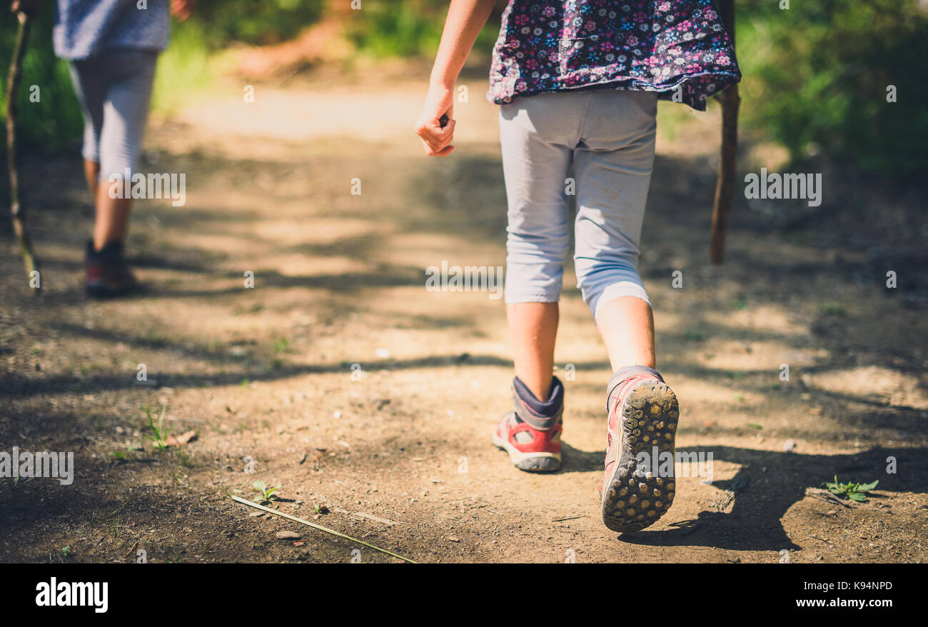 Children hiking in mountains or forest with sport hiking shoes. Girls ...