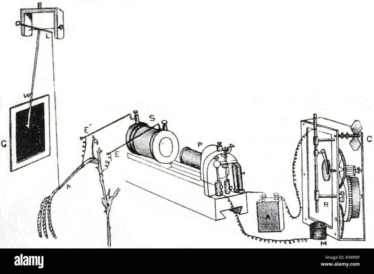 Vol 14 Cut Out Stock Images & Pictures - Alamy