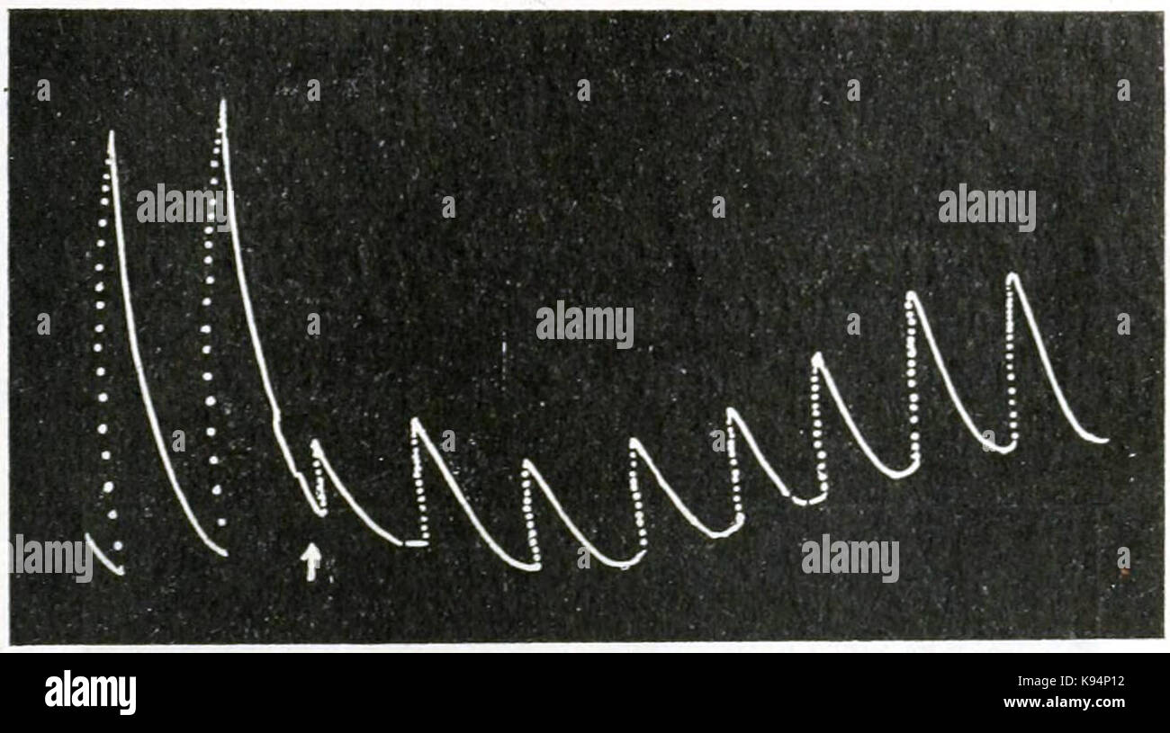 Life Movements in Plants Vol 1 Fig 19 Stock Photo - Alamy