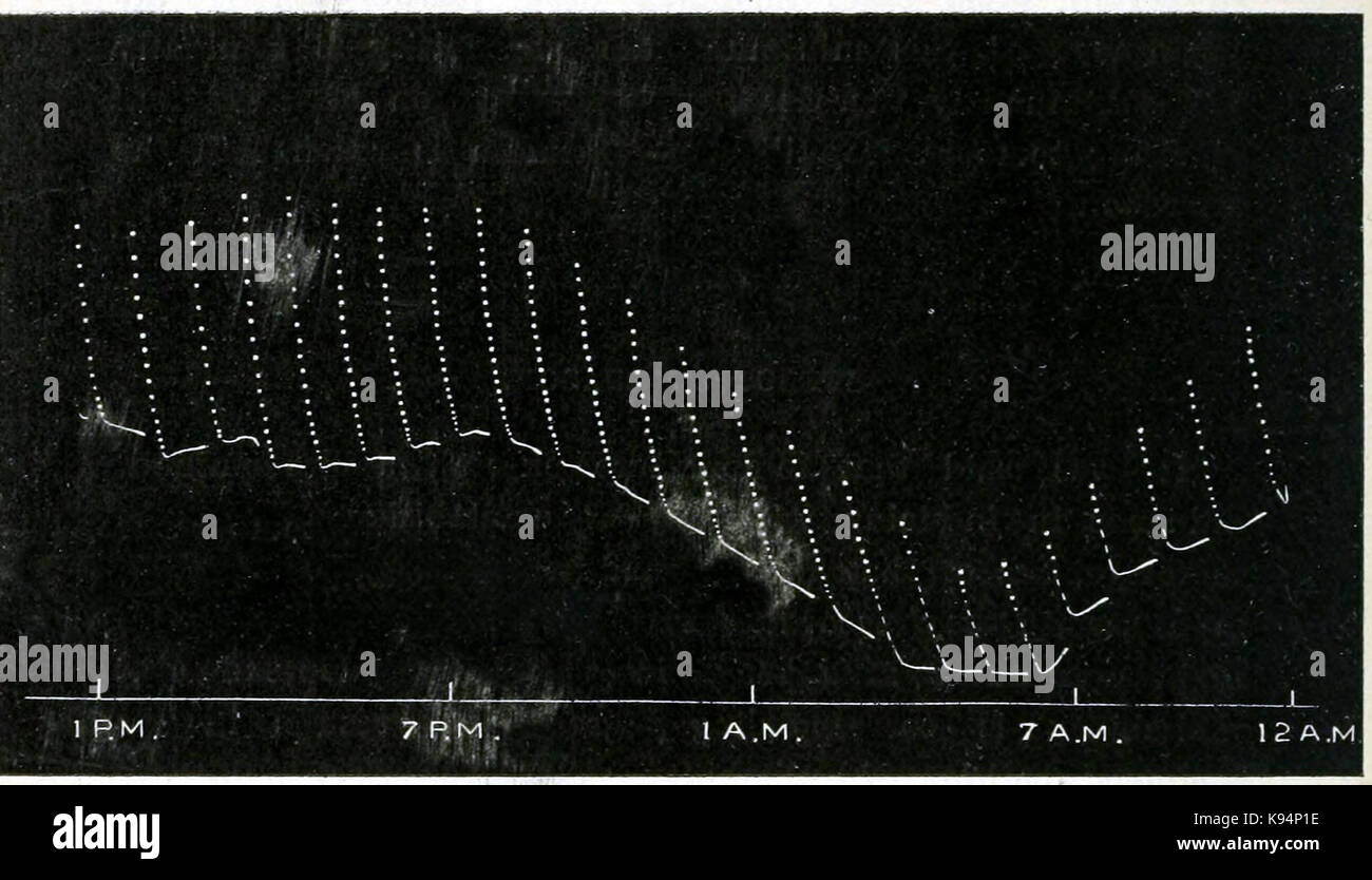 Life Movements in Plants Vol 1 Fig 29 Stock Photo - Alamy