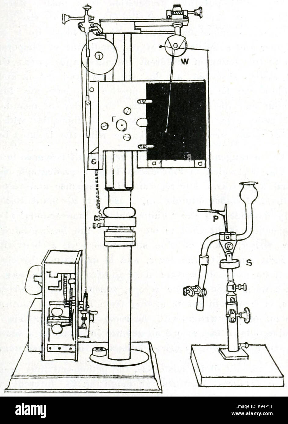 Life Movements in Plants Vol 1 Fig 30 Stock Photo - Alamy