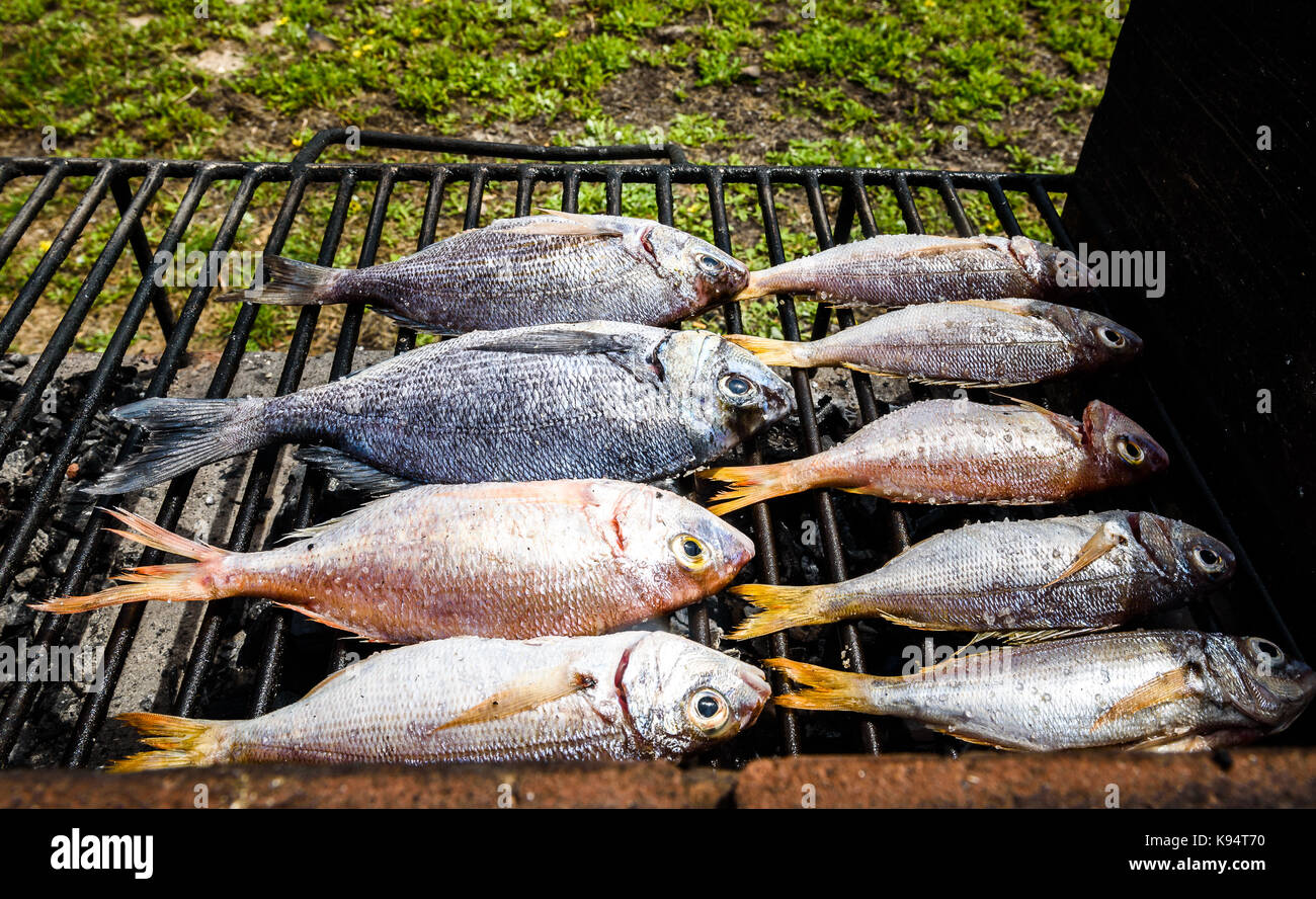 Making fish on a bbq barbecue grill over hot coal. Preparing and ...