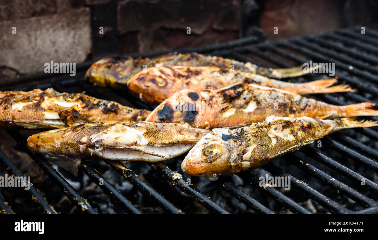 Making fish on a bbq barbecue grill over hot coal. Preparing and ...