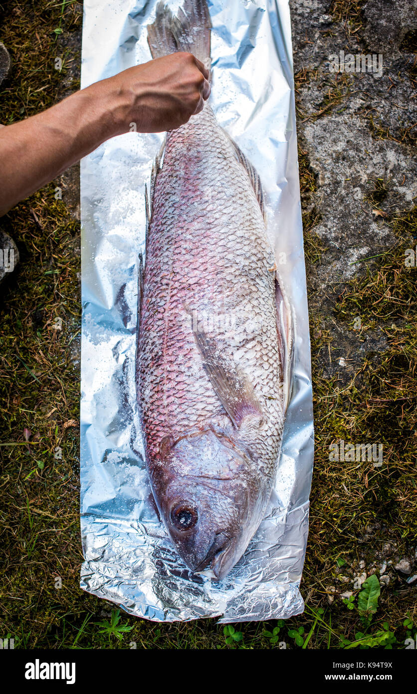 Preparing big dentex fish for barbecue cooking on picnic outside ...