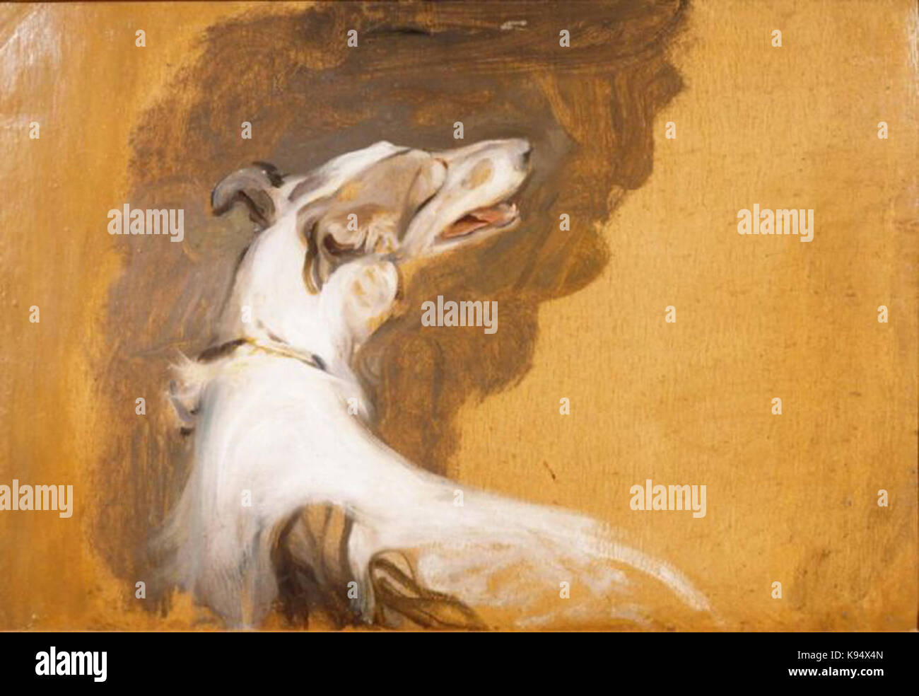 Laszlo A Borzoi Dog Stock Photo - Alamy