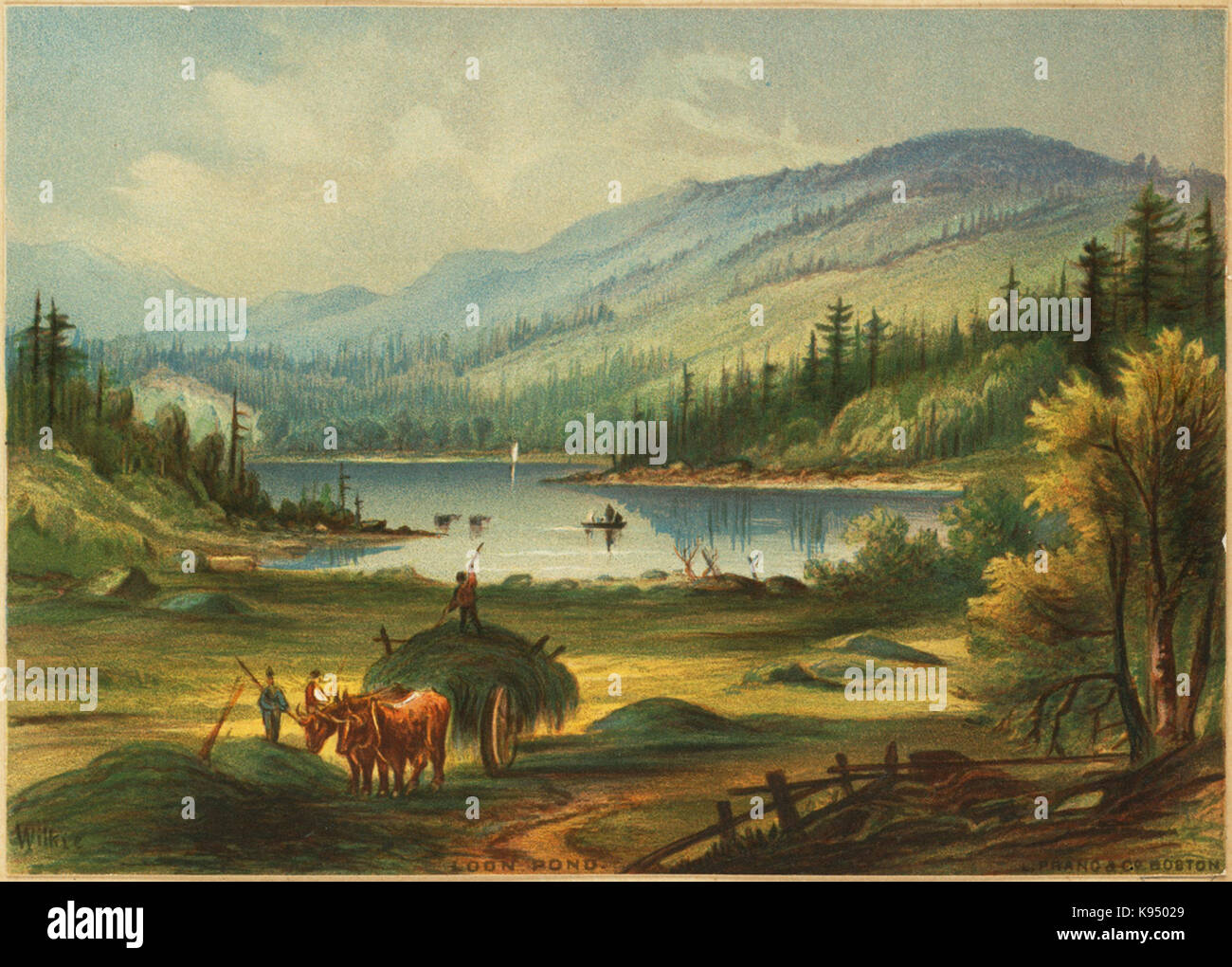 Loon Pond (Boston Public Library Stock Photo - Alamy