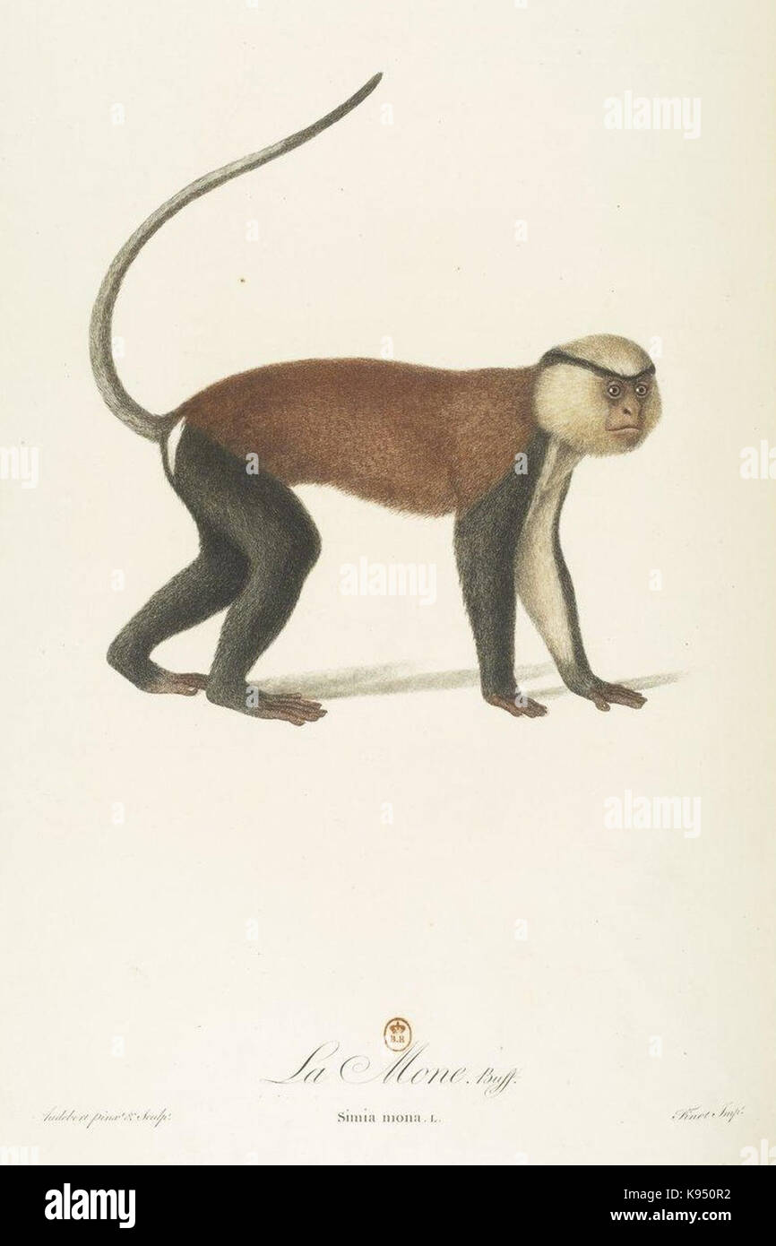 Old mone hi-res stock photography and images - Alamy