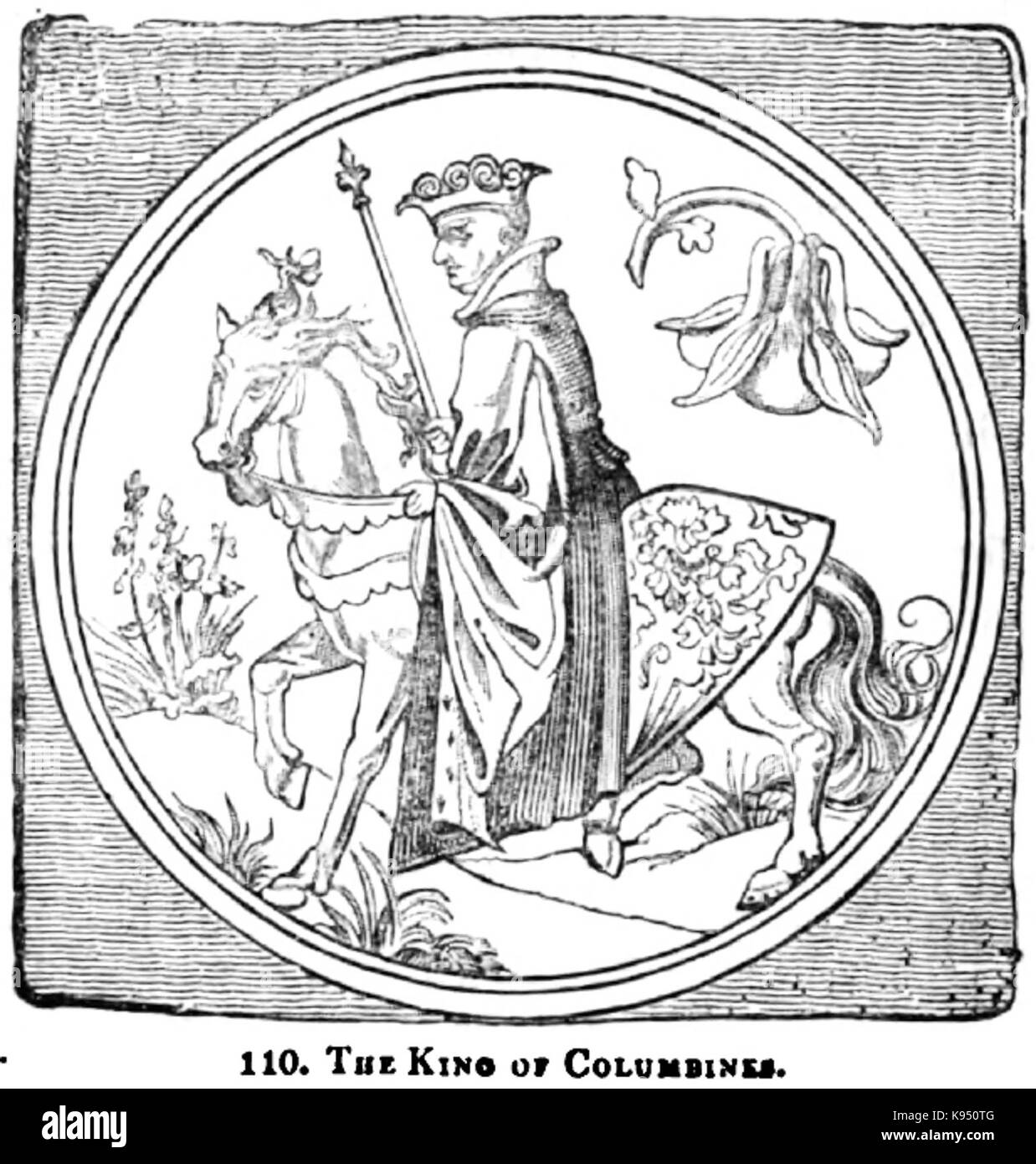 King flowers Black and White Stock Photos & Images - Alamy