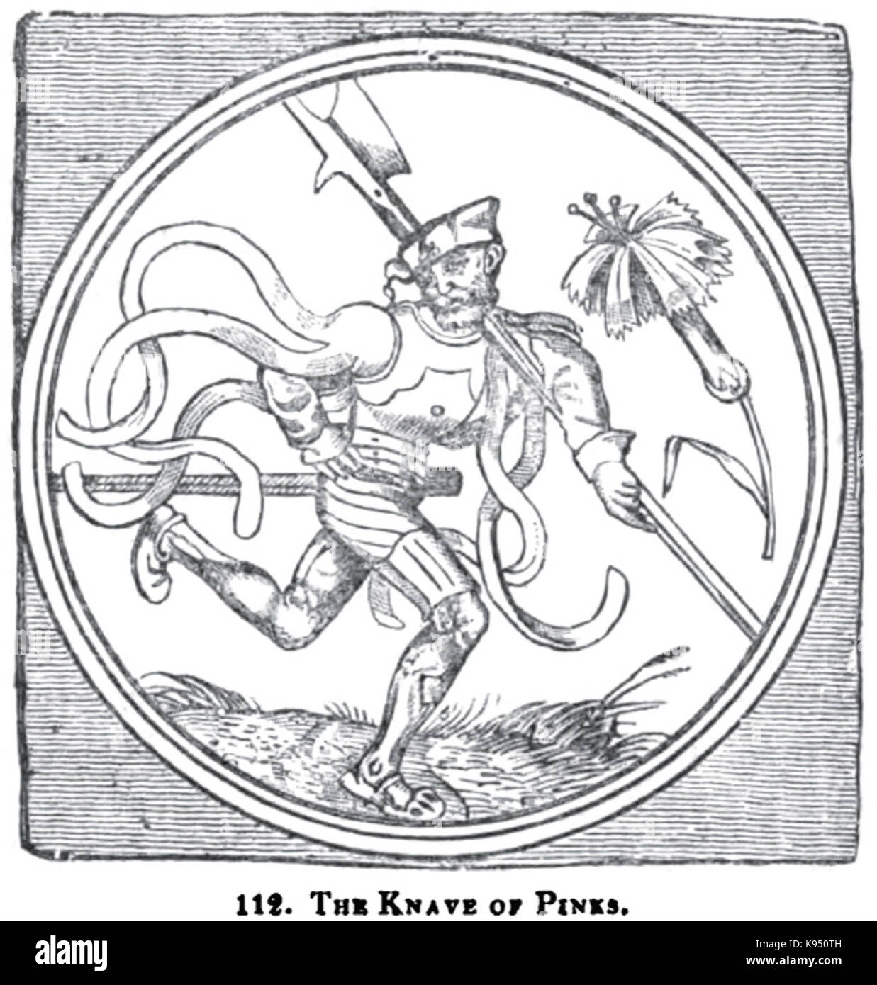 Knave of Pinks (Joseph Strutt Stock Photo - Alamy