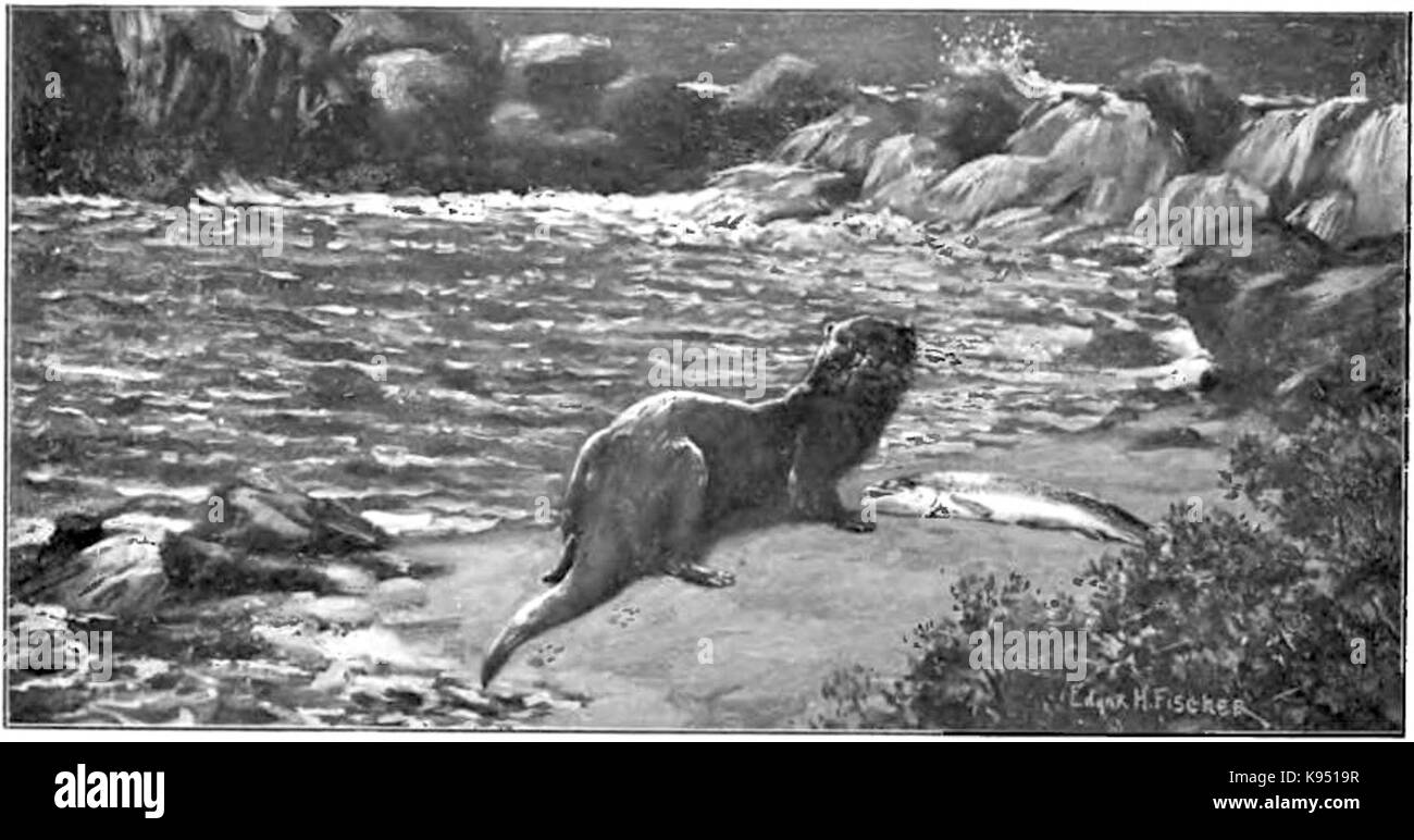 Food story Black and White Stock Photos & Images - Alamy