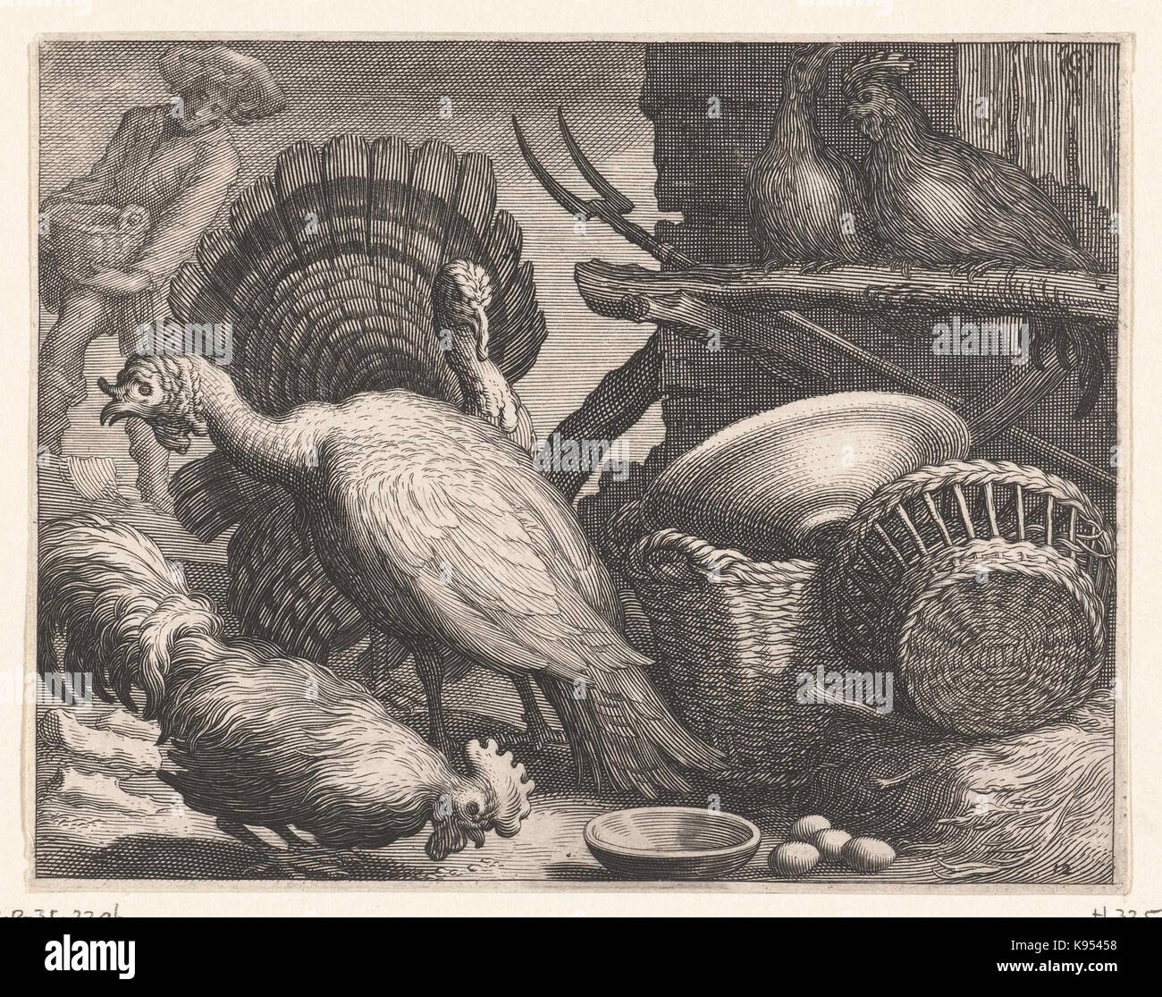 Kippen en kalkoenen Stock Photo - Alamy