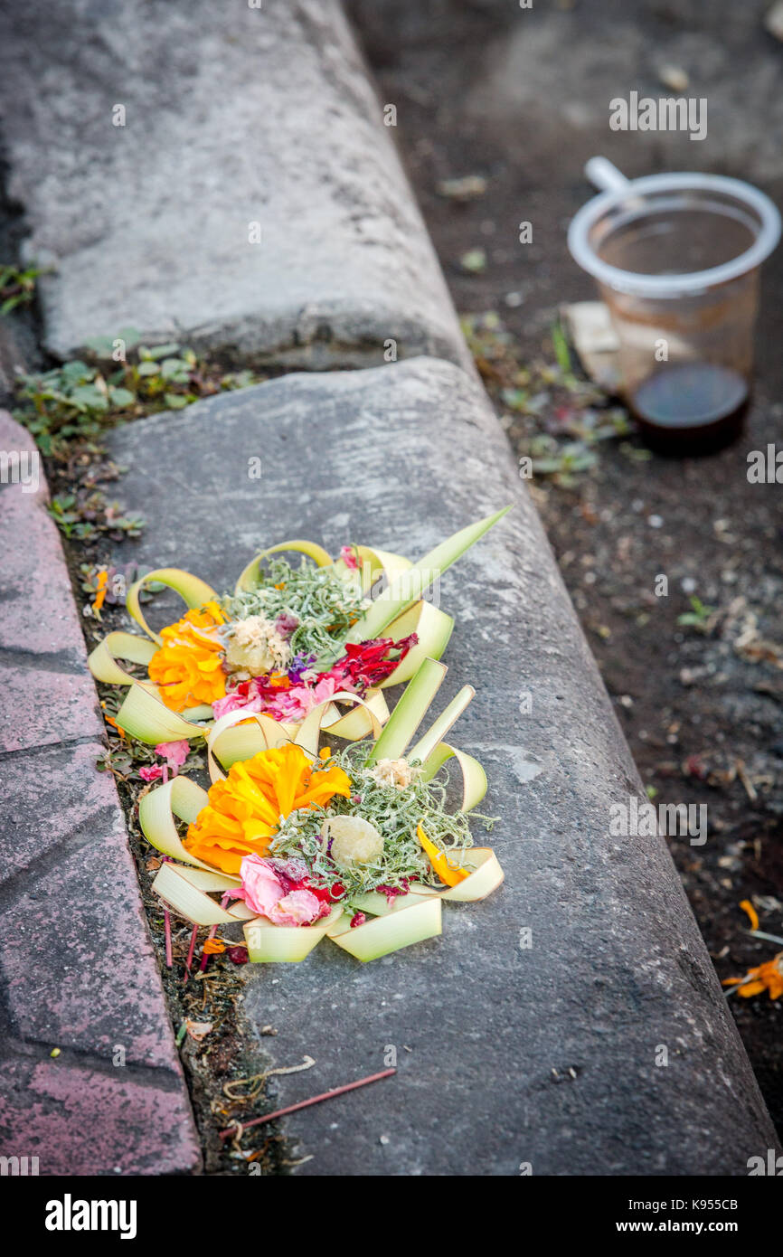 Traditional balinese offerings to gods in Bali with flowers Stock Photo ...