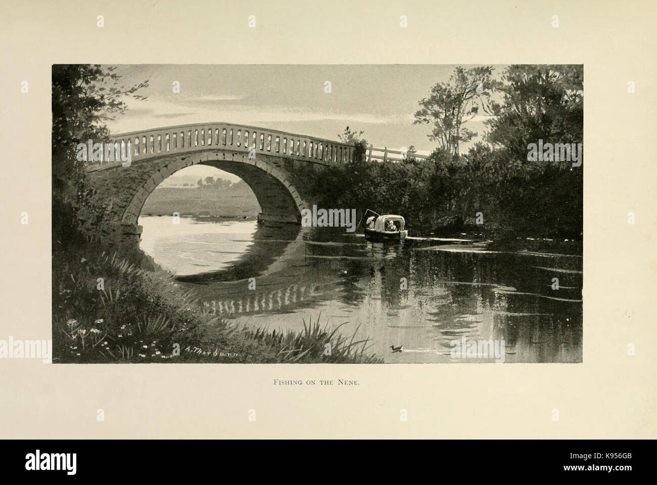 Lord Lilford on birds (Plate 1) (8076821641 Stock Photo - Alamy