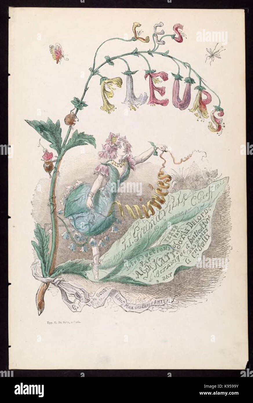 Les fleurs animees hi-res stock photography and images - Alamy