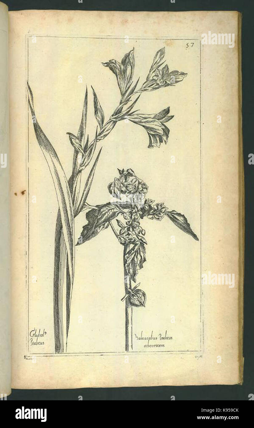 Louis xiii versailles hi-res stock photography and images - Alamy