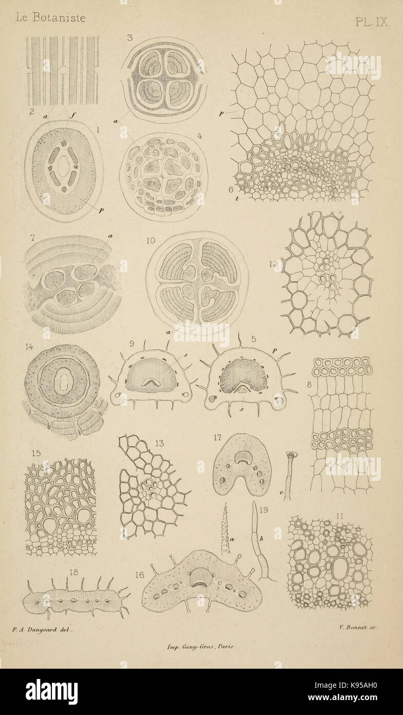Le Botaniste BHL3918339 Stock Photo - Alamy