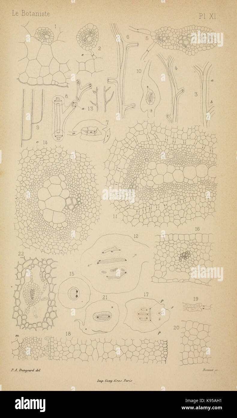 Botaniste hi-res stock photography and images - Alamy