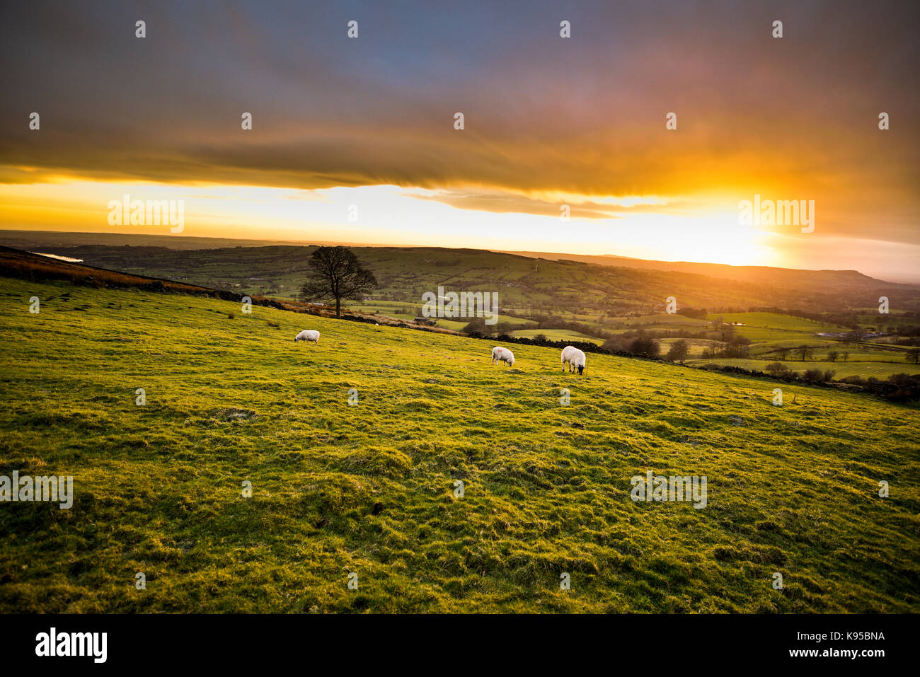 Peak District at sunset Stock Photo - Alamy