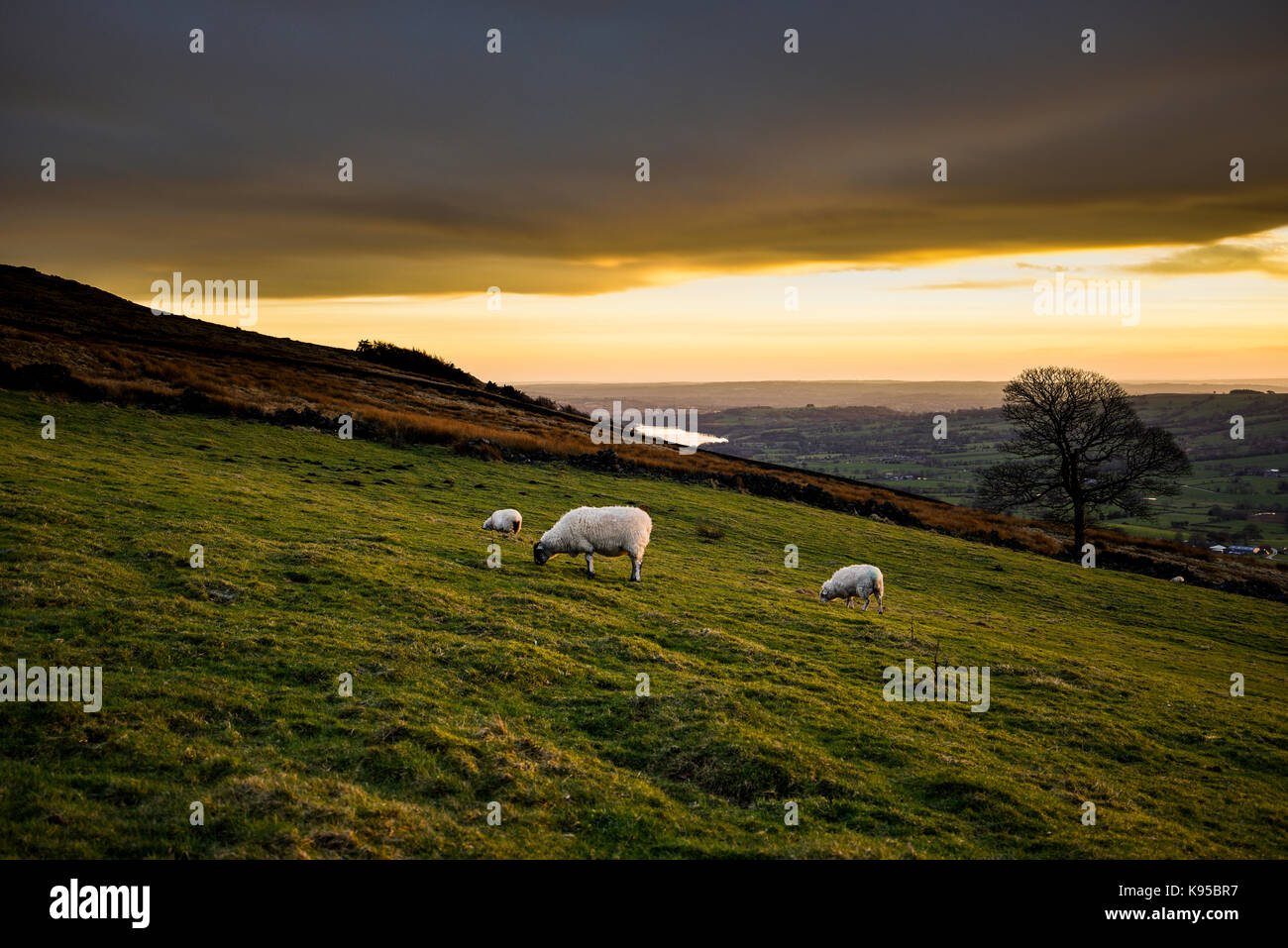 Peak District at sunset Stock Photo - Alamy