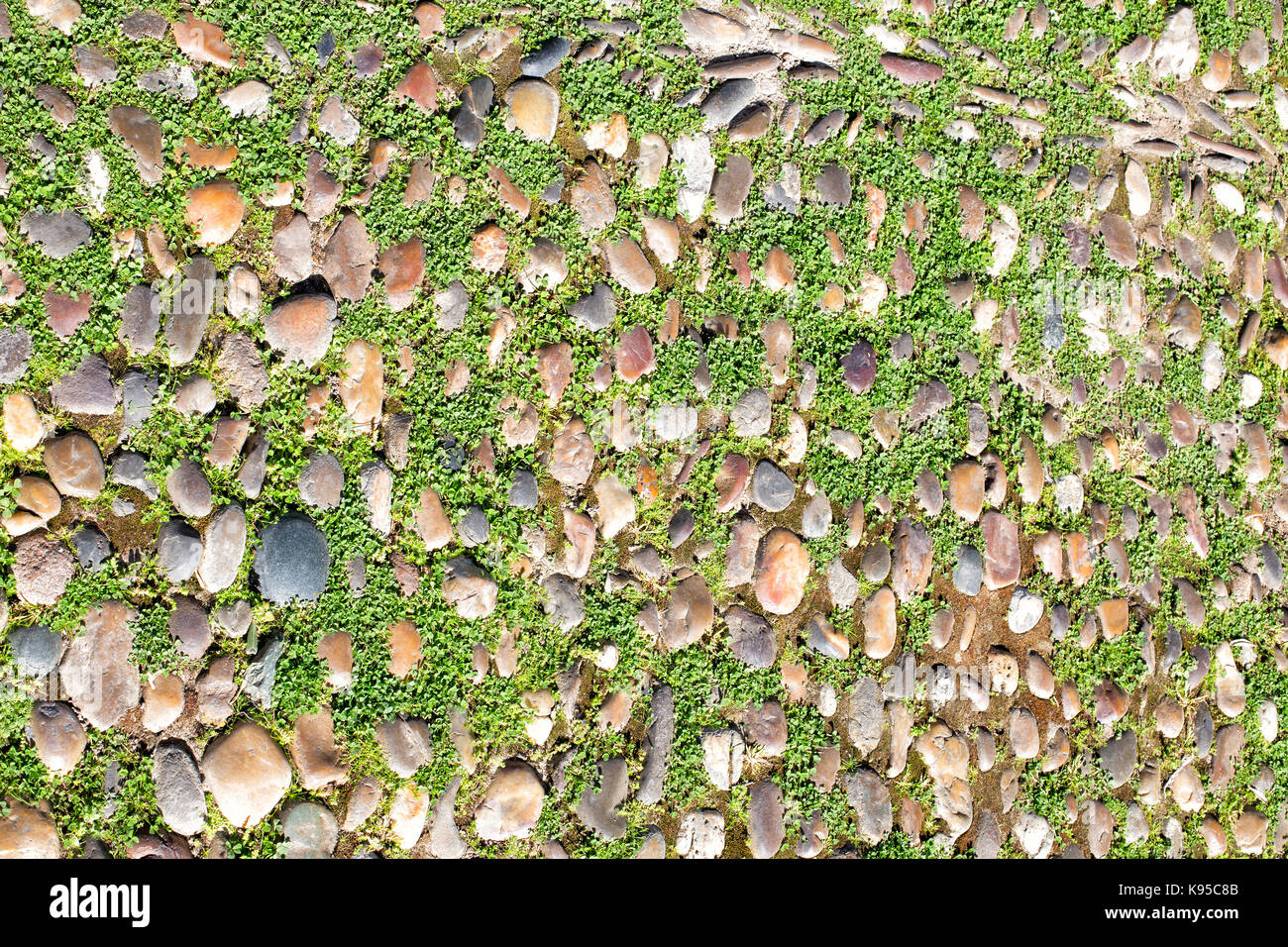 surface od stones on green plants. texture background Stock Photo - Alamy