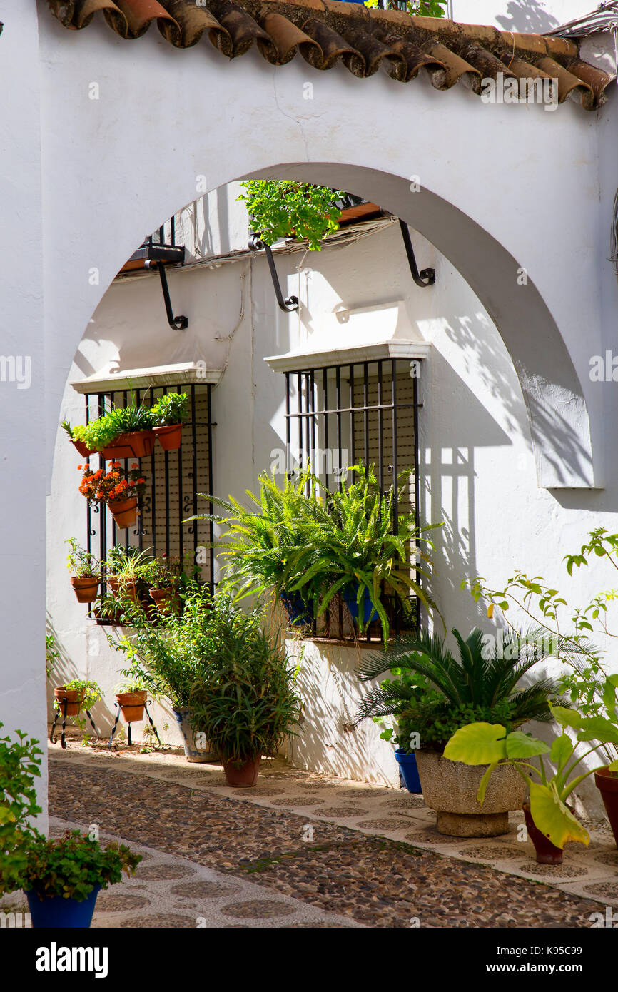 Typical andalusian courtyard hi-res stock photography and images - Alamy
