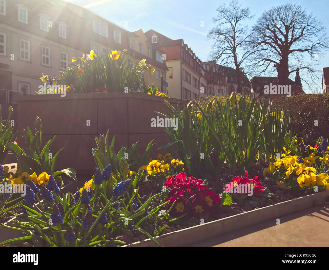 Beautiful flowers in sunset town of German Stock Photo - Alamy