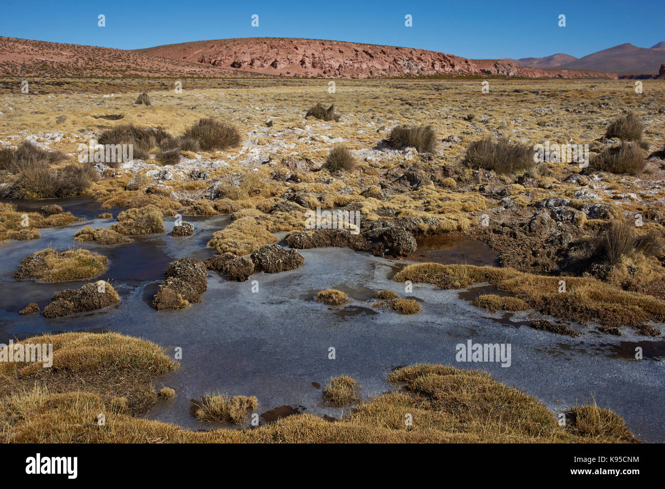 Frozen pools in a wetland along a tributary of the River Lauca high on ...