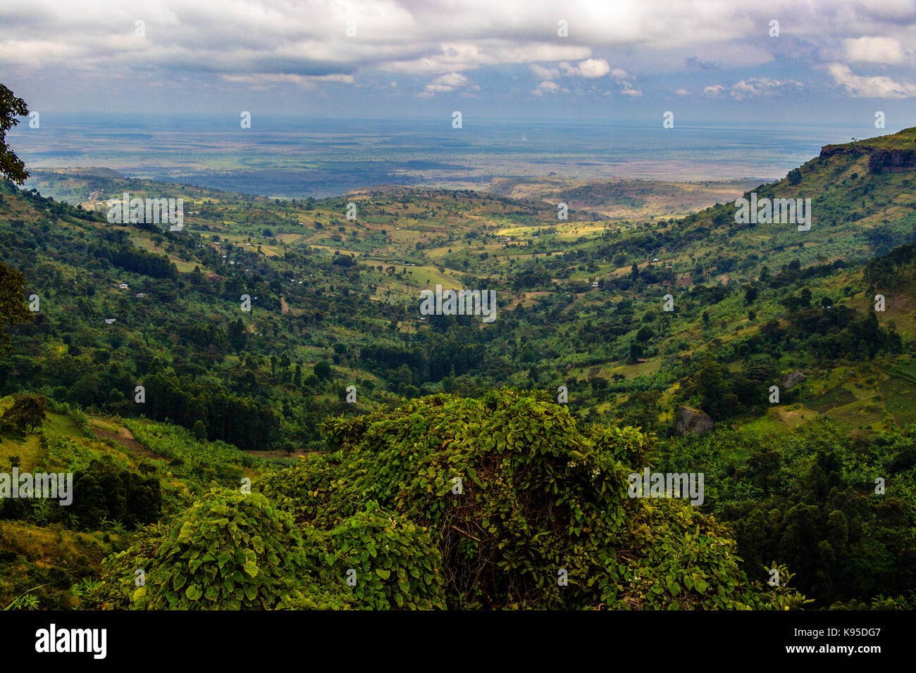 Beautiful view down the valley in the mount Elgon national park in ...