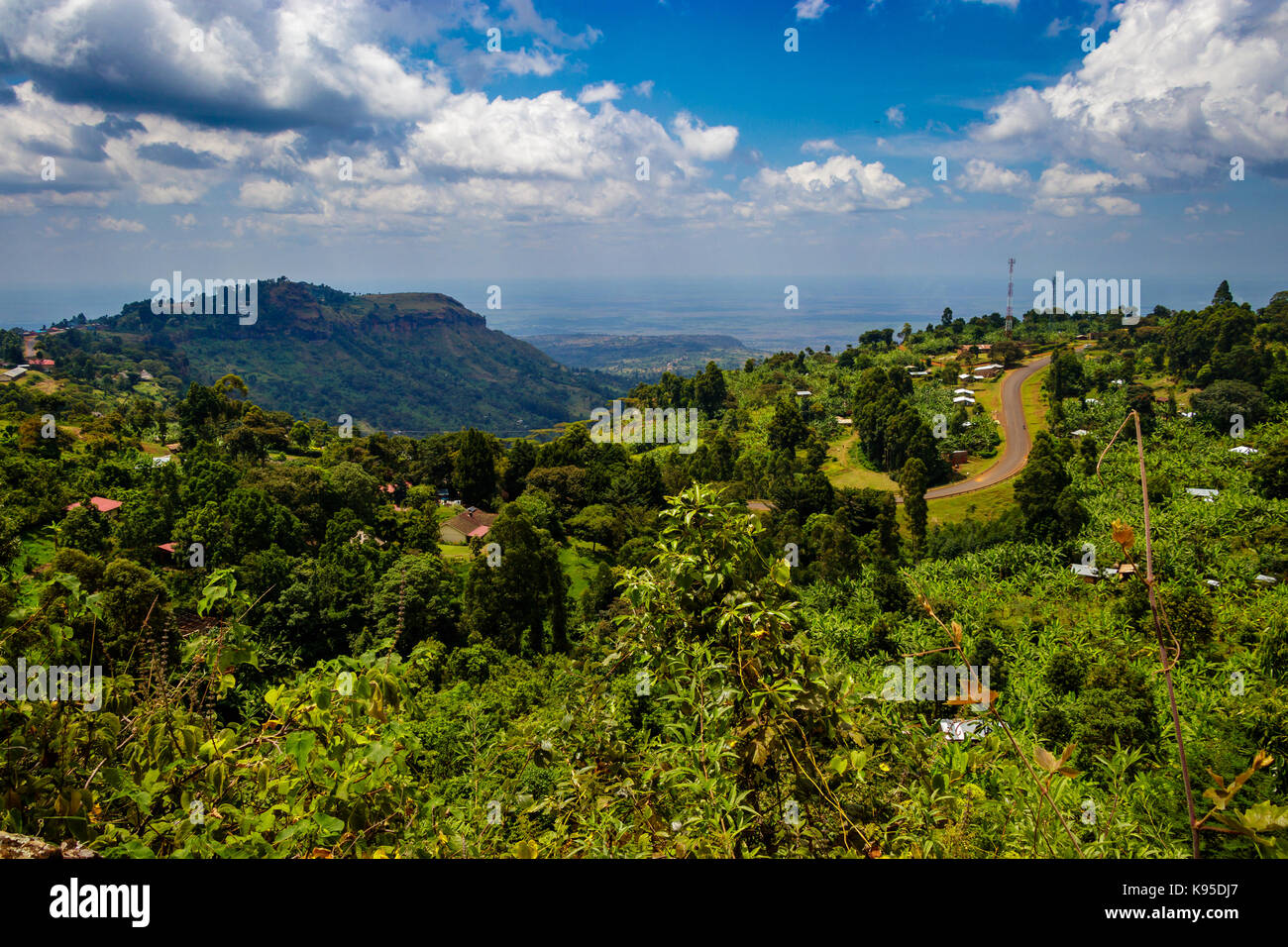 Beautiful view down the valley in the mount Elgon national park in ...