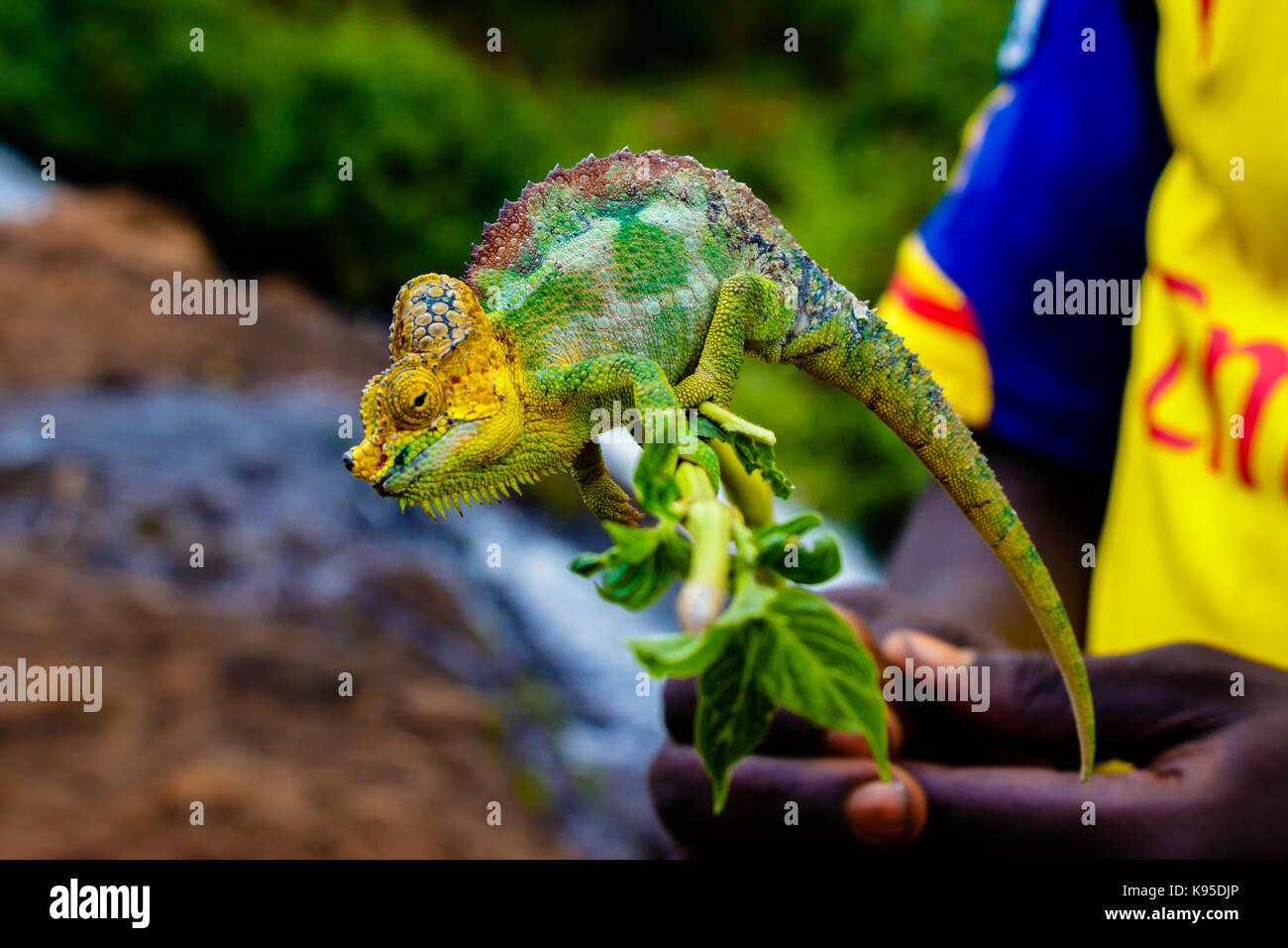 Rwanda colors hi-res stock photography and images - Alamy