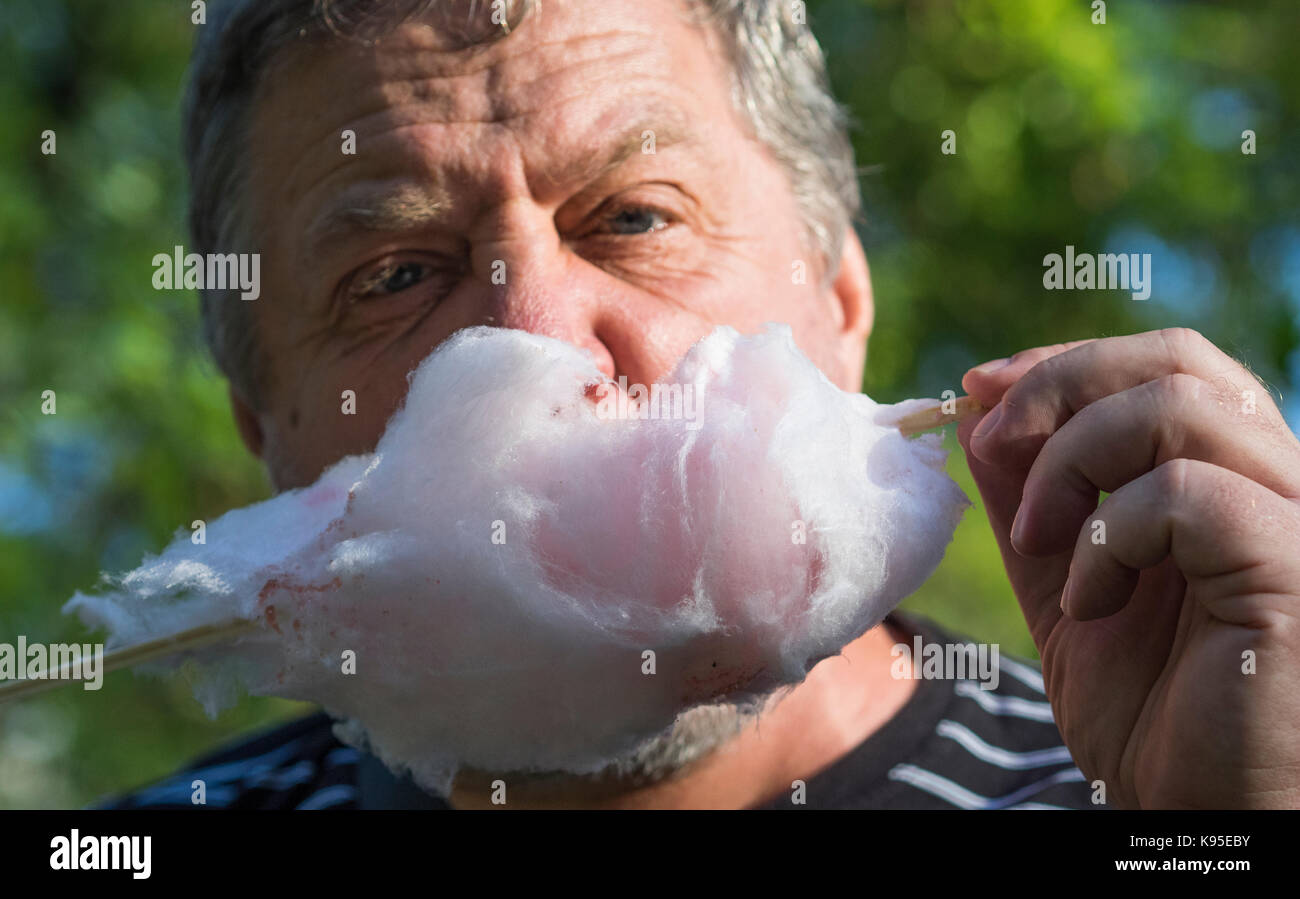 Middle aged man eating a stick of candy floss or cotton candy made from ...