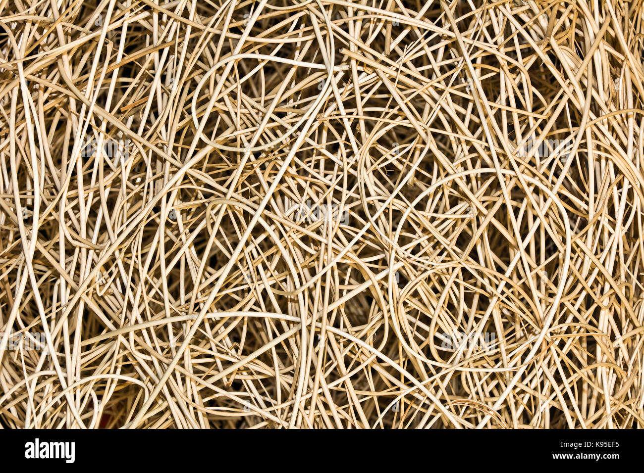 Decoratively tangled by thin twigs wicker. Abstraction. Fragment ...