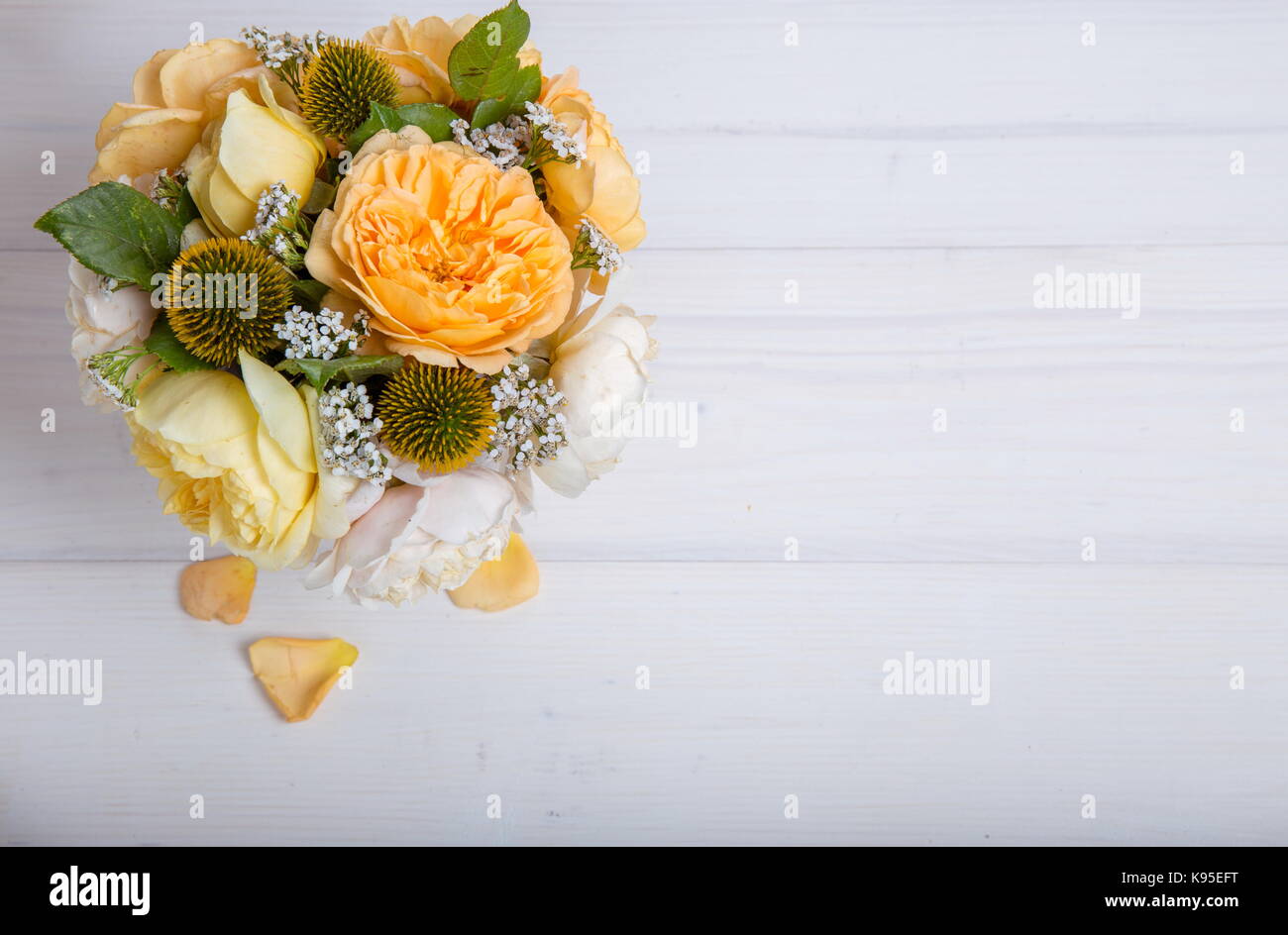 Beautiful English rose flower bouquet on white background Stock Photo ...