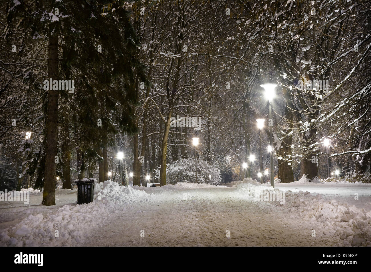 Park snow-covered alley with lanterns at night. Winter night in a snow ...