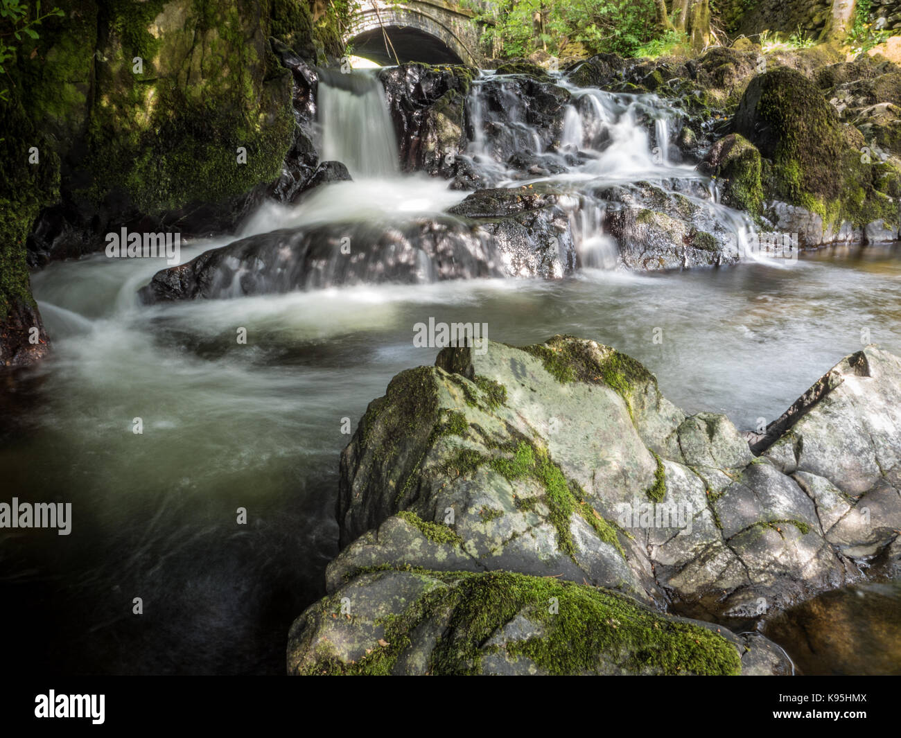 I clambered under an old Yew Tree beneath Sunnybank Bridge near ...