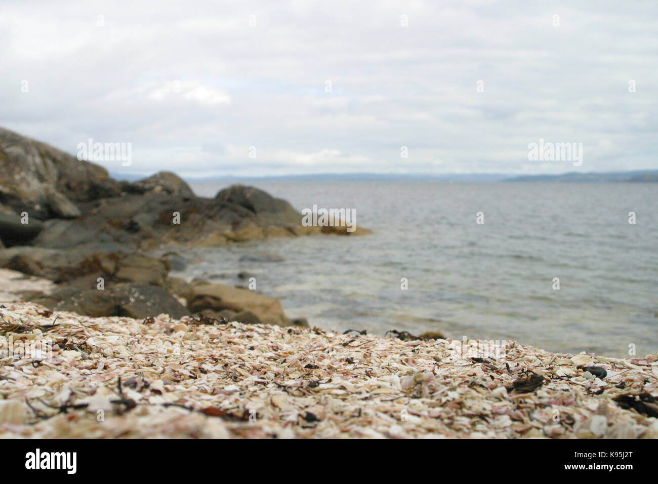 Photo from shell beach in Tarbert Scotland Stock Photo - Alamy