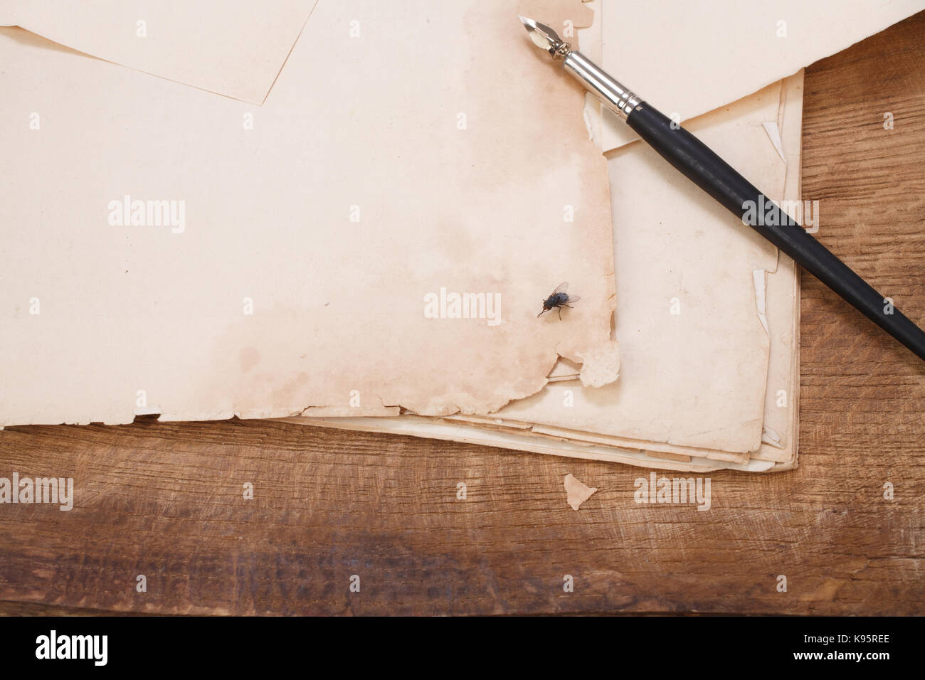 old papers and pen with fly Stock Photo - Alamy