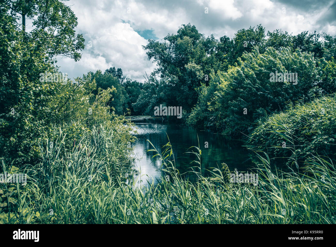 Park lake river forest sun hi-res stock photography and images - Alamy