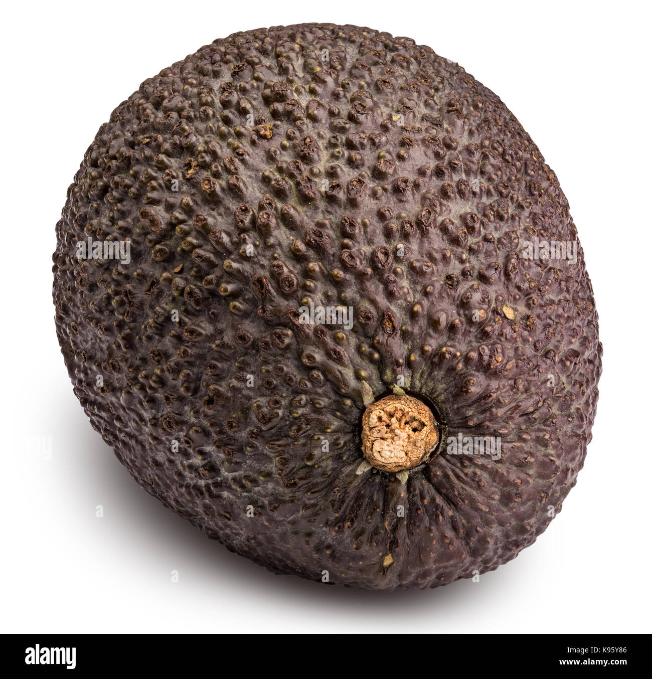 Brown avocado isolated on white background with clipping path Stock ...