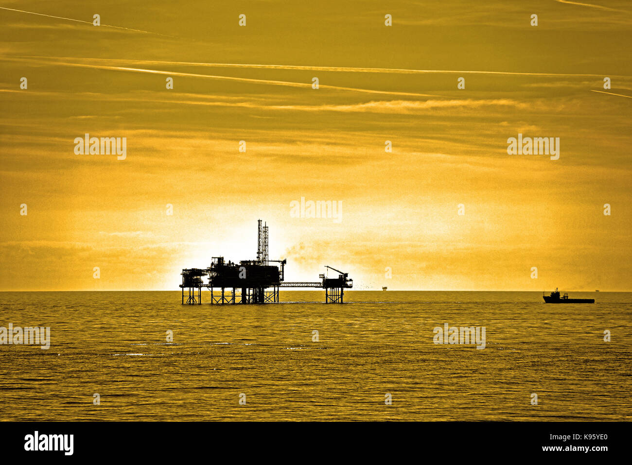 Cameron shepherd hi-res stock photography and images - Alamy