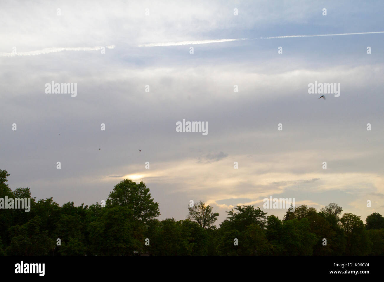 Red sky above trees hi-res stock photography and images - Alamy